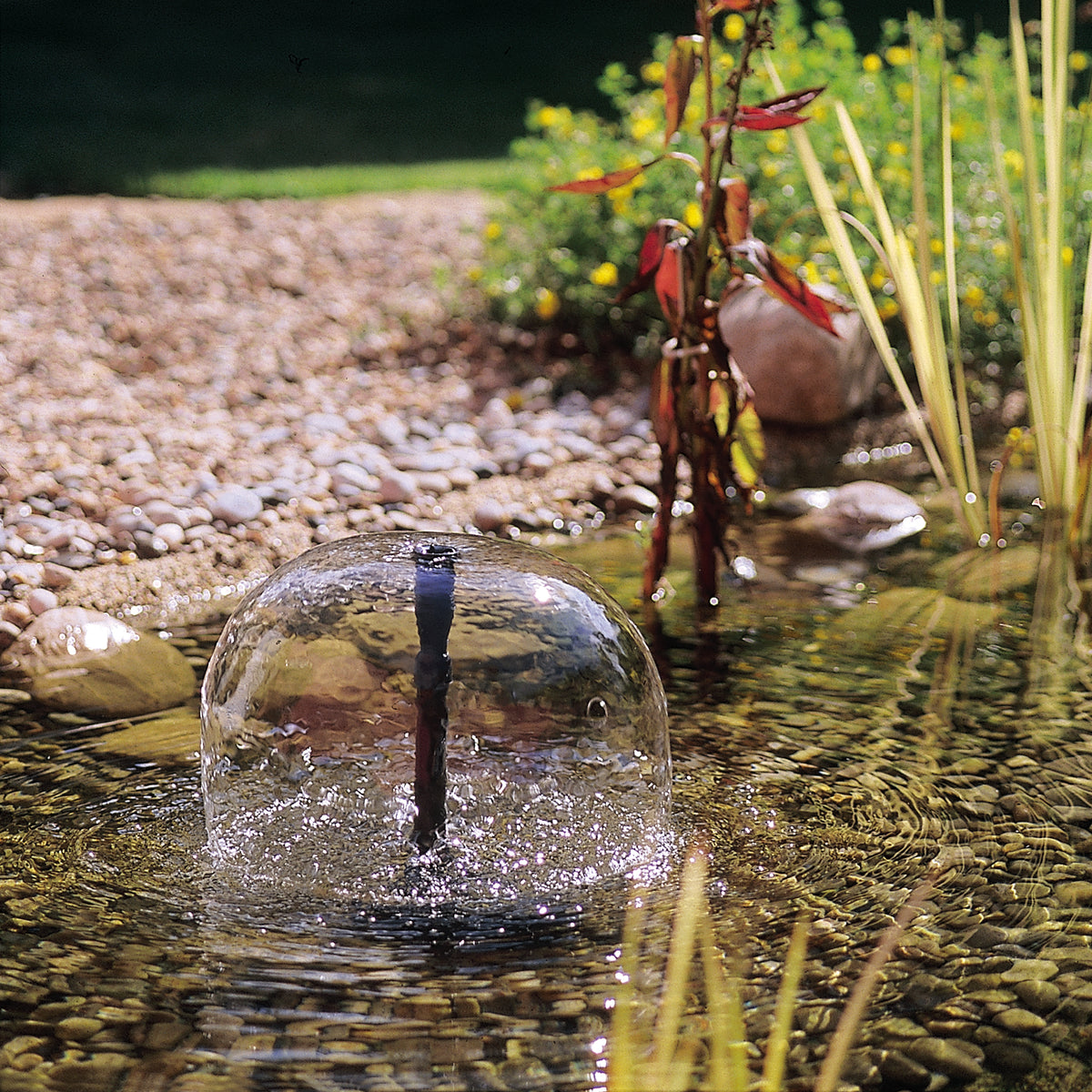 OASE Australia | Premium Pond Pumps, Filters and Accessories